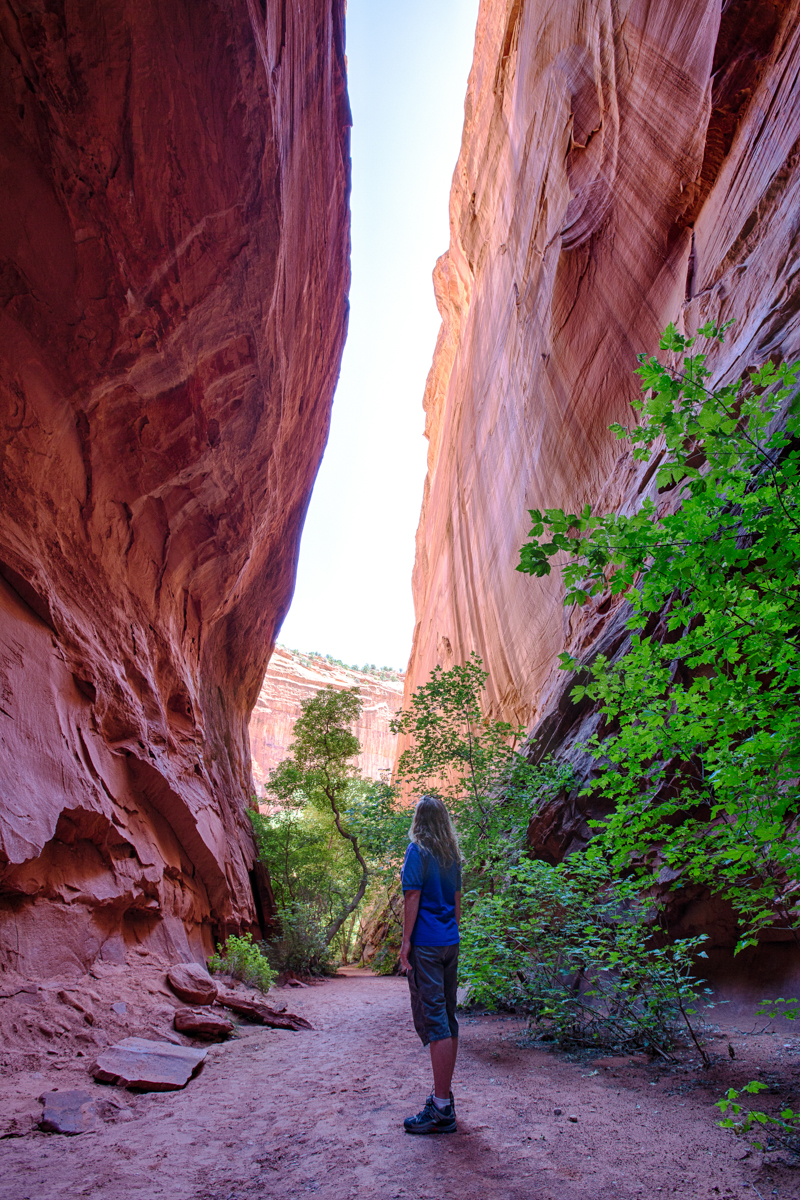 Canyonlands of Utah – Escalante/Grand Staircase | Joy Rides